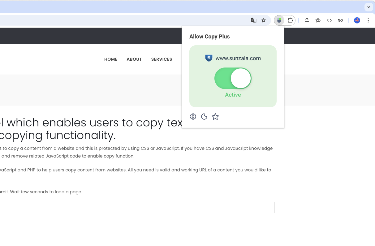 Enable Copy Paste Extension – Unlock Text on Any Website